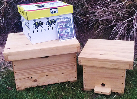 Bumble Bee Package Deal