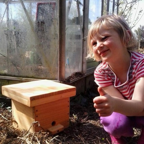 Bumble Bee Package Deal