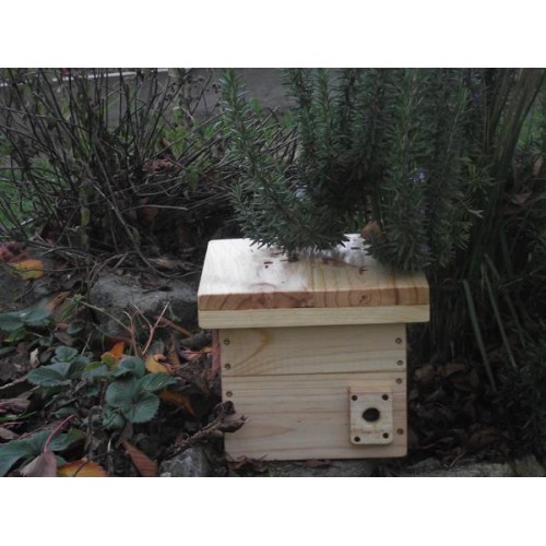 Bumble bee nesting box