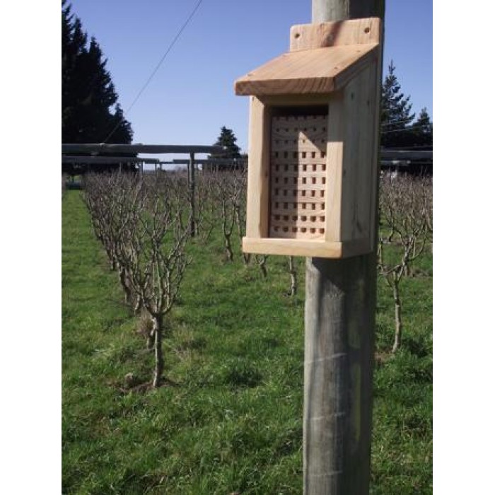 Solitary Bee House