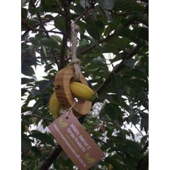 Bird Ring Feeder