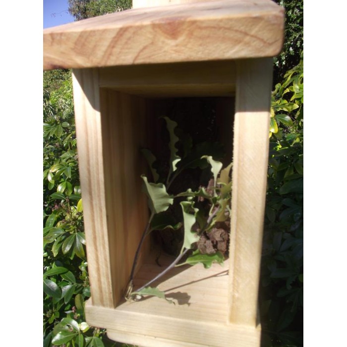 Butterfly House/ Shelter