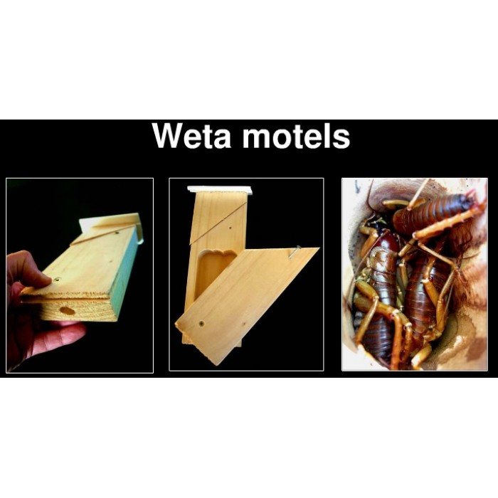 Weta Motel